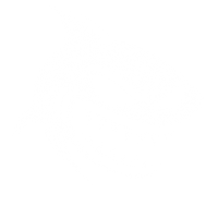 Install Bruce Firmware Themes on M5Shark — Step-by-Step Guide – M5Shark ...